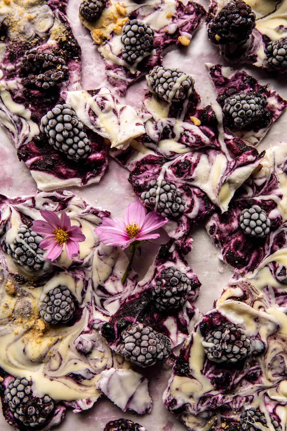7 Ways to Make Greek Yogurt Bark - Ditch the Wheat
